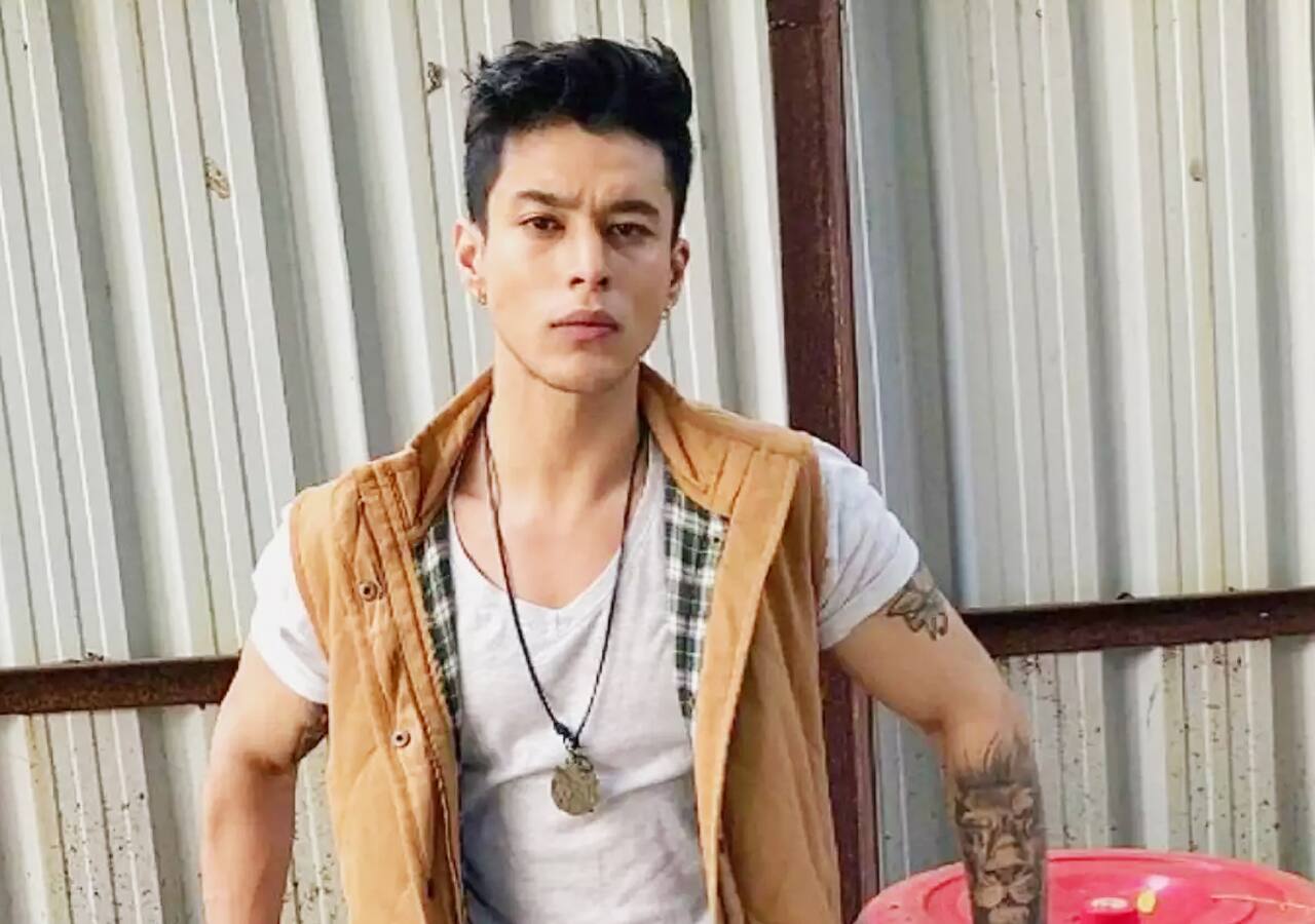 Mohsin Khan, Pratik Sehajpal, Shaheer Sheikh and other TV hunks who are ...