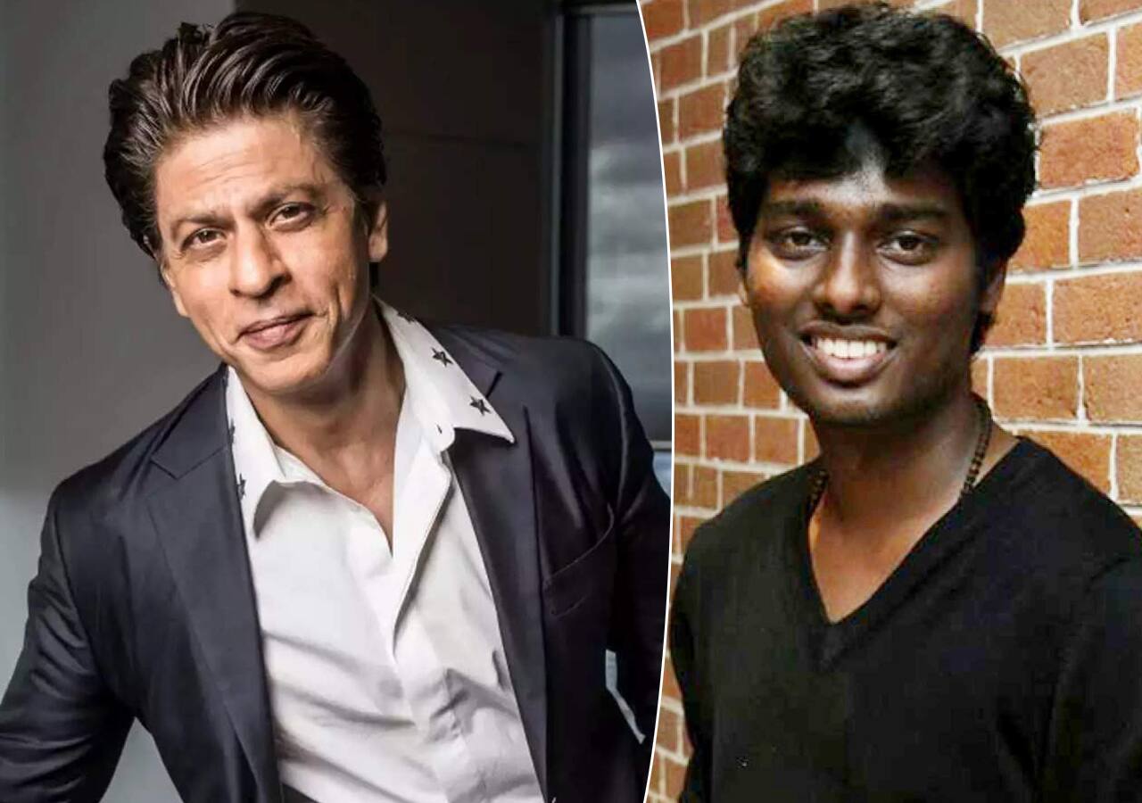 Shah Rukh Khan and Rajkumar Hirani's Dunki, Jawan, Tiger 3, Animal and other Bollywood releases ...