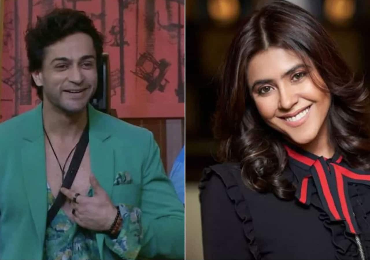 Bigg Boss 16: Shalin Bhanot bags Ekta Kapoor's Beqaboo on Colors? Hunk ...