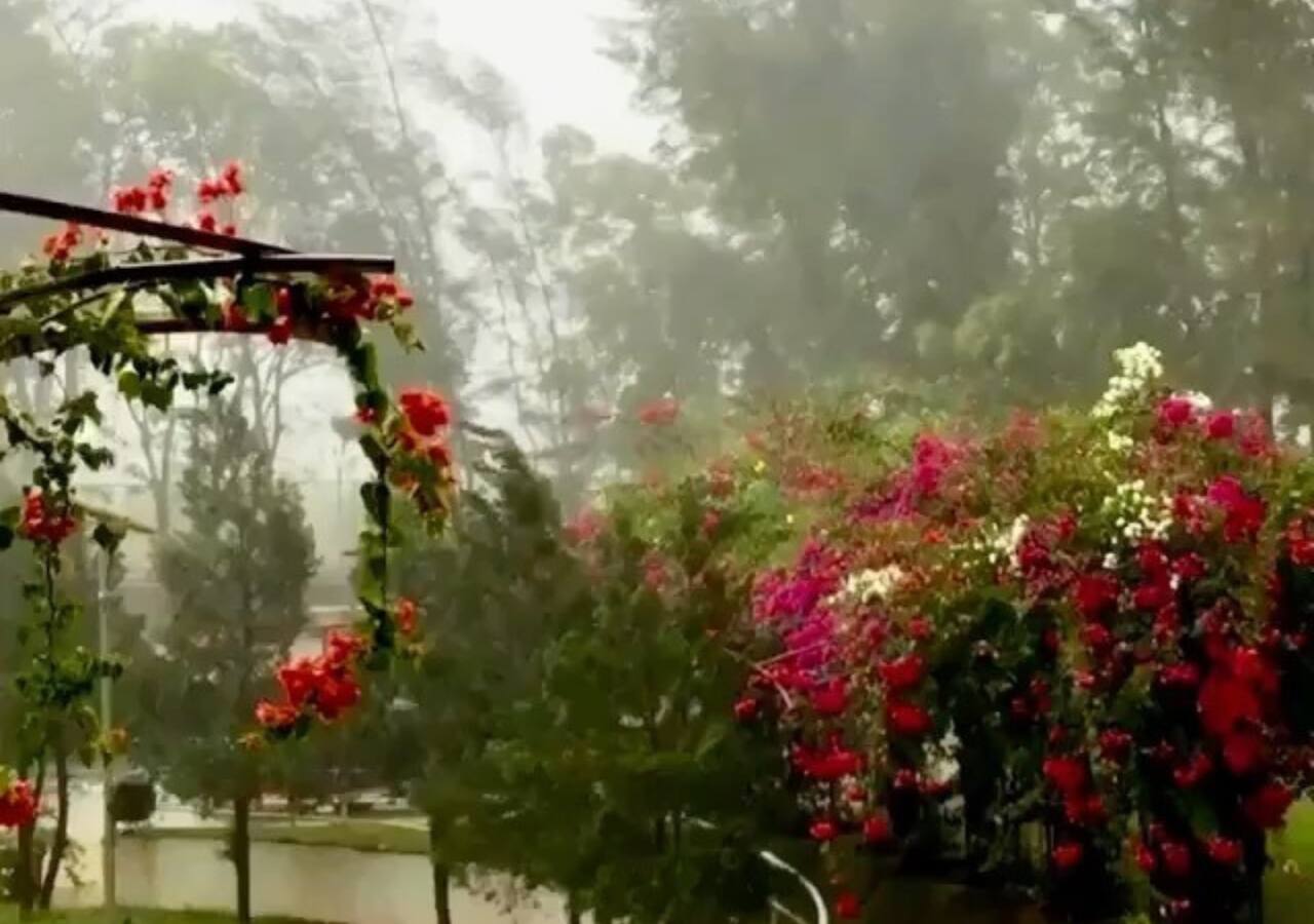 Sunny Deol Mumbai house Inside Photos Will Surprise you, 'Gadar 2 ...