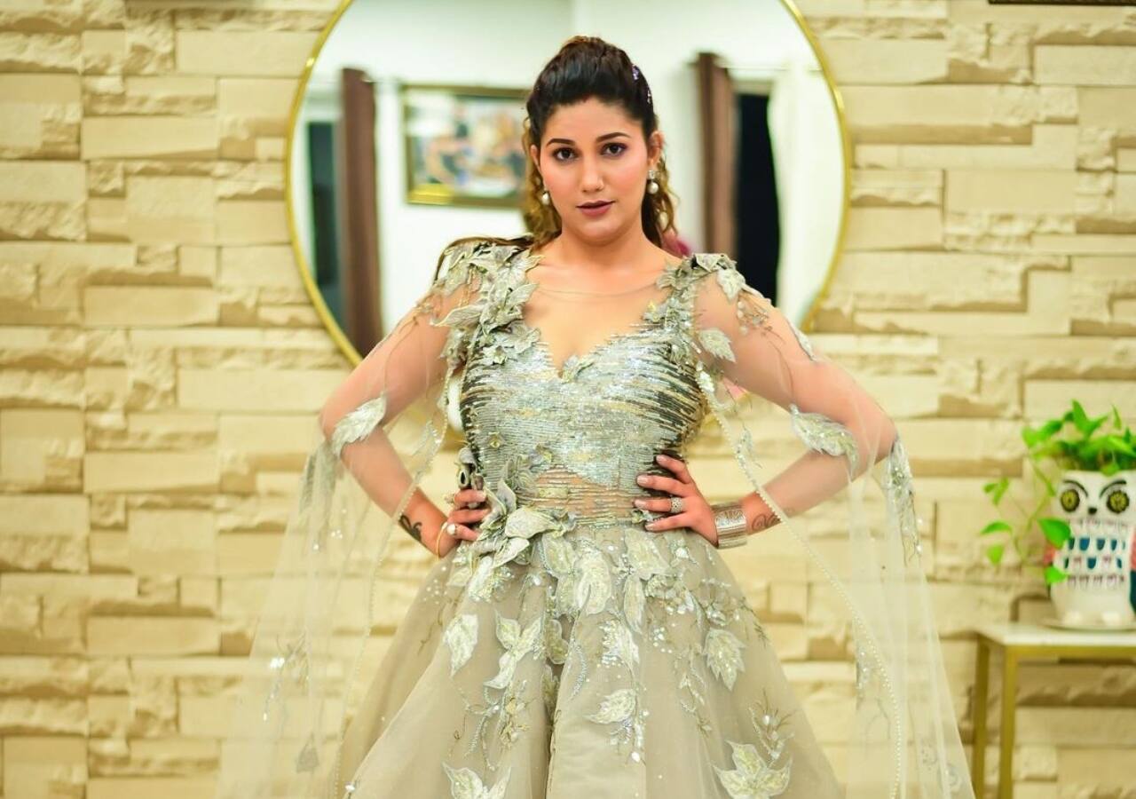 Bigg Boss fame Sapna Choudhary looked very beautiful in grey gown- सपना ...