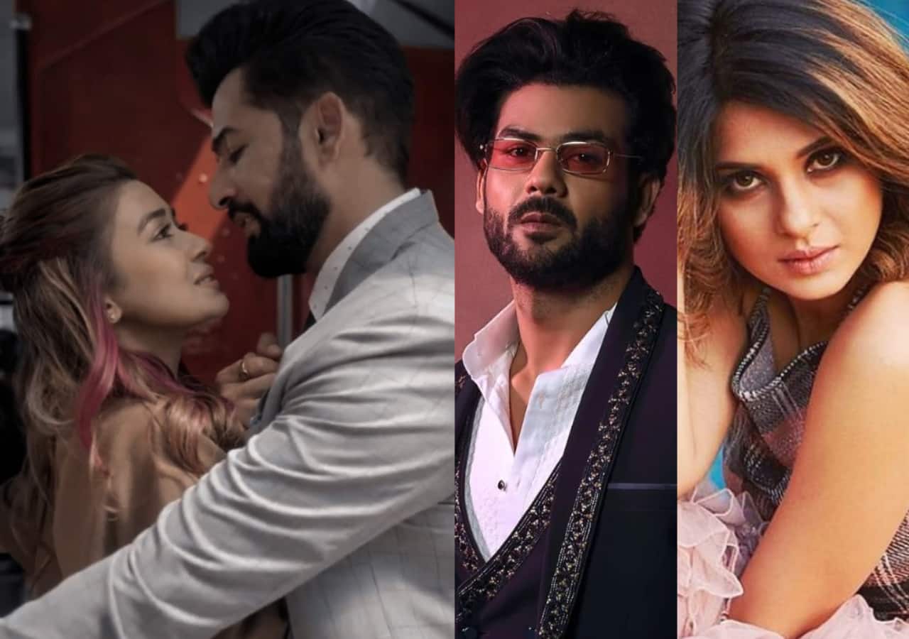 Jay Bhanushali-Tina Datta in Hum Rahe Na Rahe Hum, Jennifer Winget ...