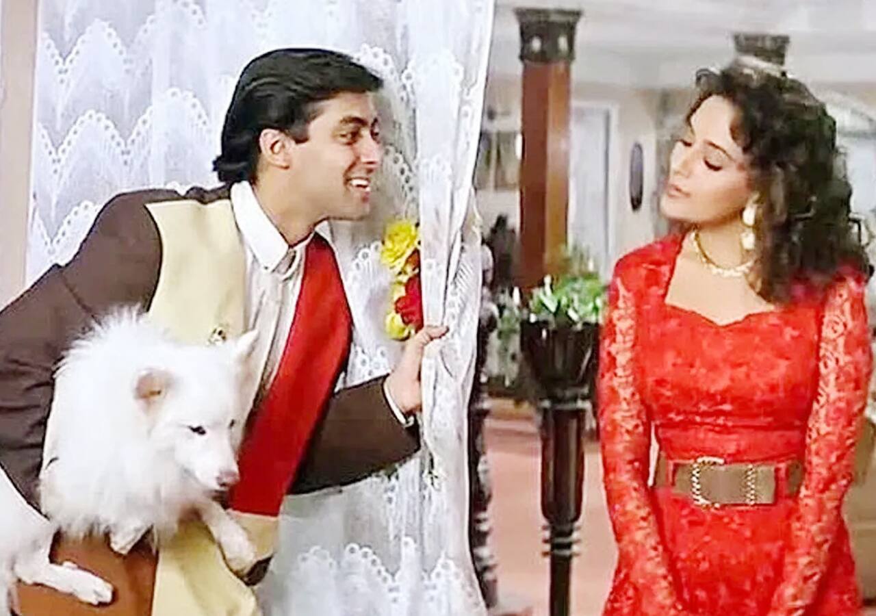 Before Salman Khan and Sooraj Barjatya's Prem Ki Shaadi; take a look at the actor's hit films ...