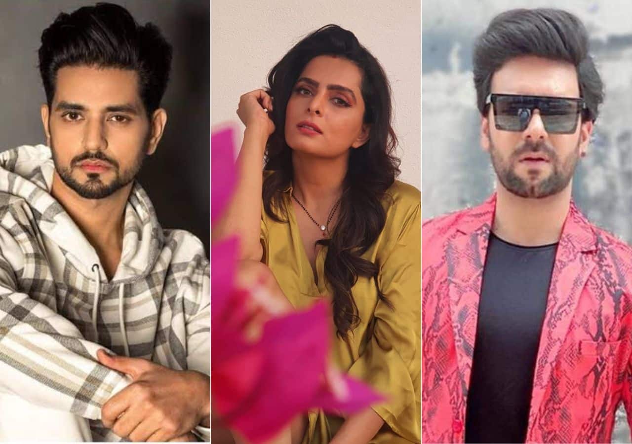 Kundali Bhagya Shakti Arora To Sanjay Gagnani These Stars Quit Shraddha ...