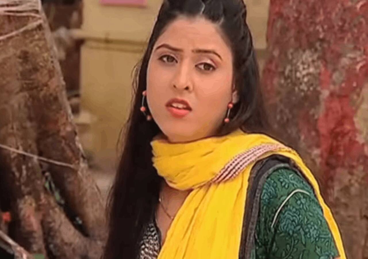 Taarak Mehta Ka Ooltah Chashmah: Shailesh Lodha, Neha Mehta to Disha ...