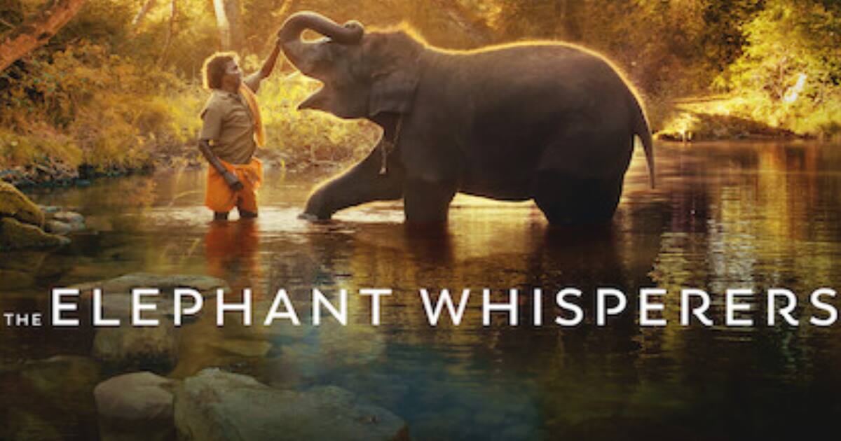 Oscars 2023 winner The Elephant Whisperers and Top 10 more Indian ...