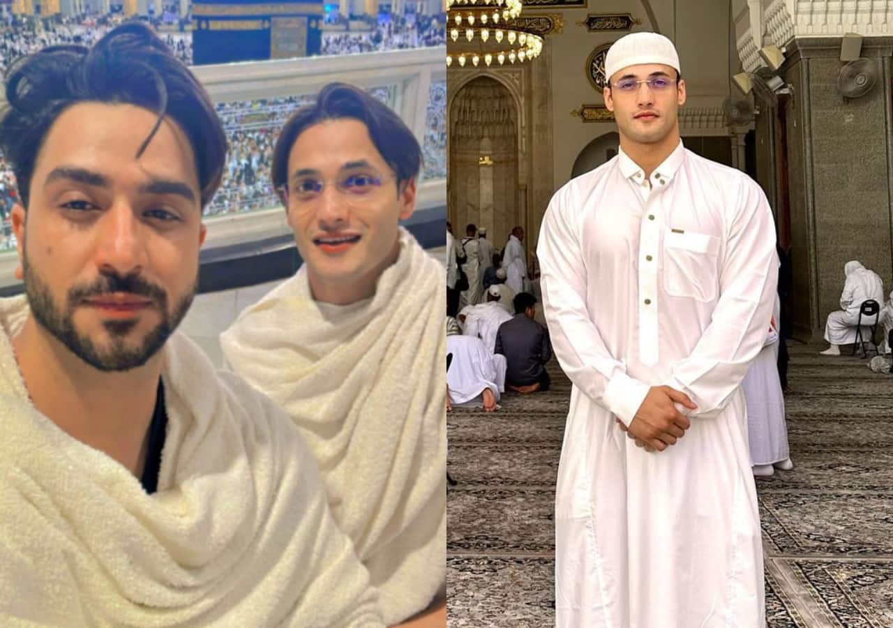 Aly Goni Rallies In Support Of Bff Asim Riaz After Faizan Ansaris Defamatory Comments Calls 