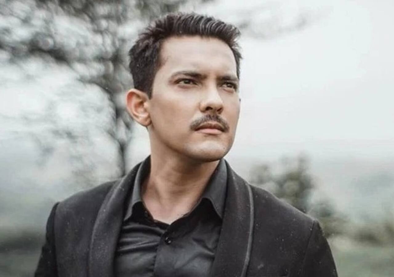 Aditya Narayan reveals he was replaced from a chartbuster song this year by the 'makers' and not ...