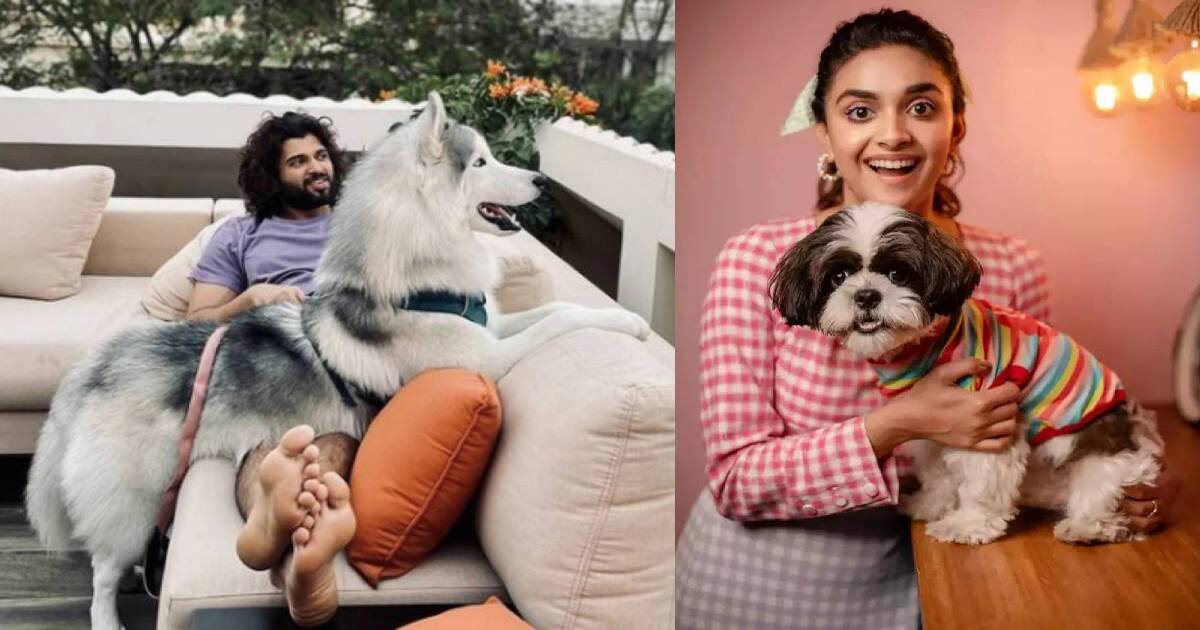 South Indian stars and their cutest pet moments
