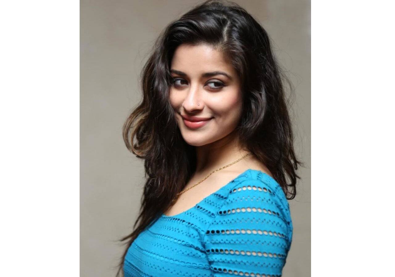 Bigg Boss 18 confirmed contestants: Shehzada Dhami, Karan Veer Mehra ...