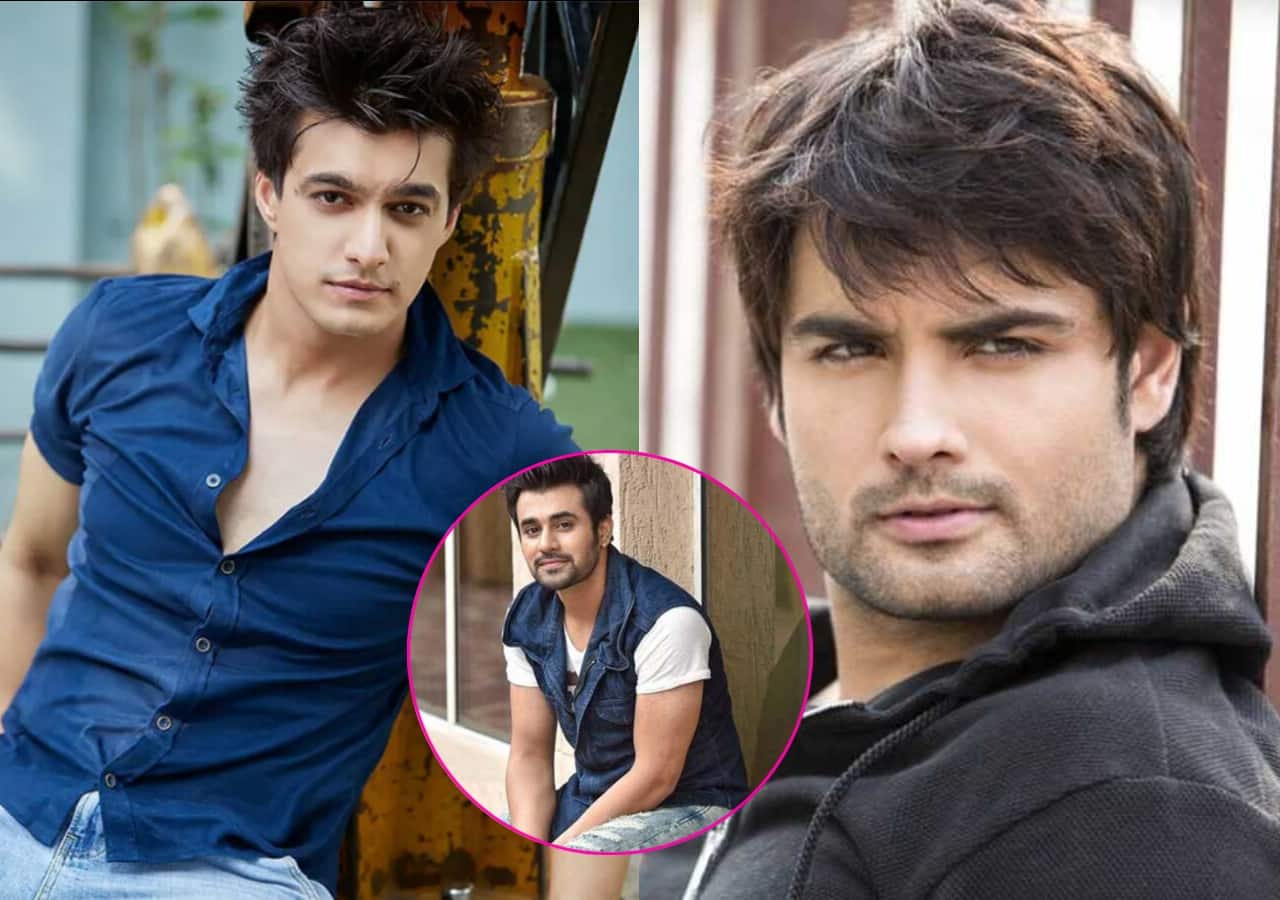 Fans want to see these TV actors on screen - टीवी के इन एक्टर्स को ...