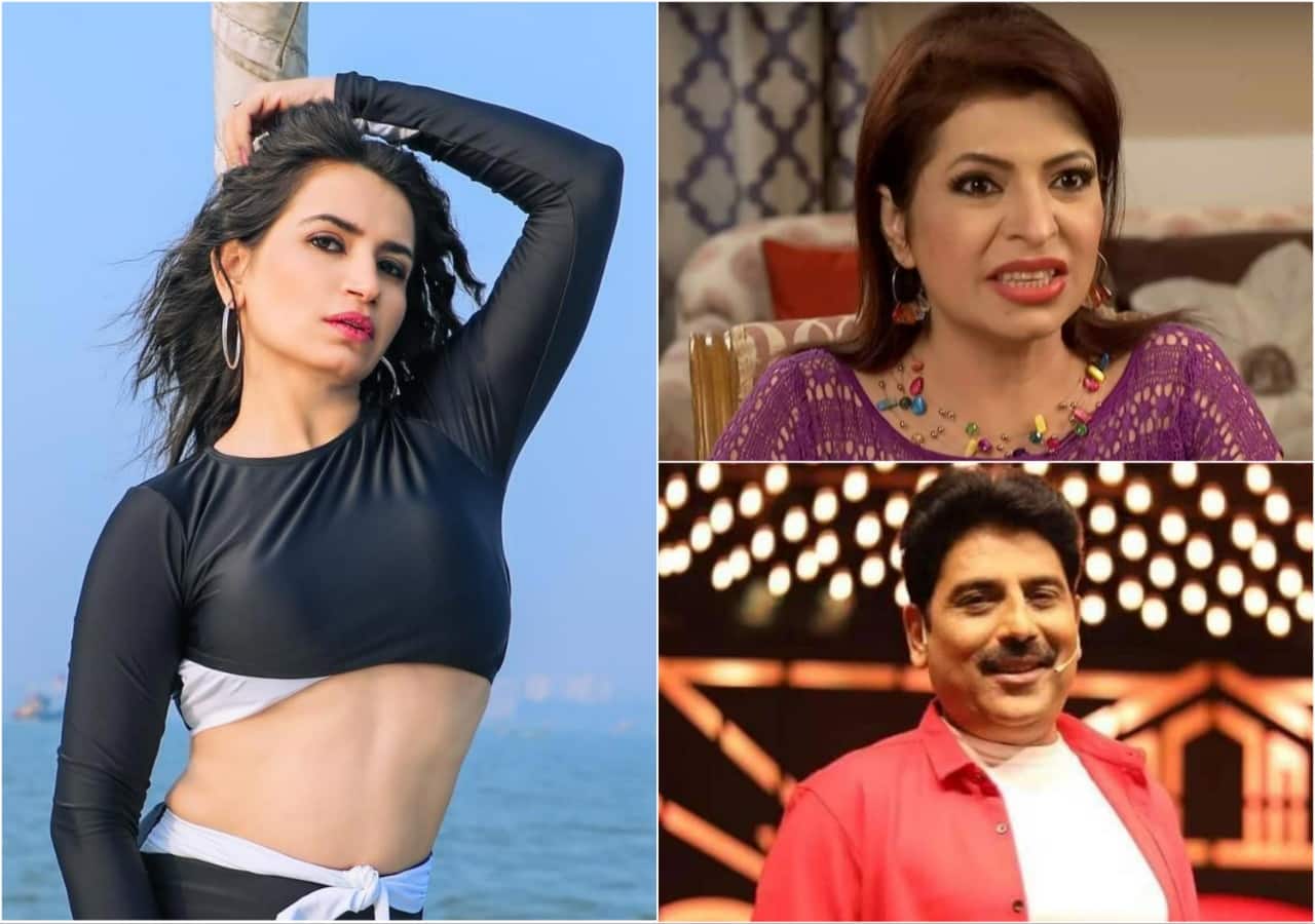 Taarak Mehta Ka Ooltah Chashmah Star Cast From Jennifer Mistry To ...