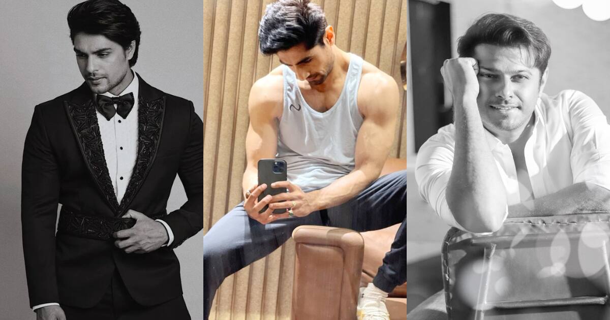 Harshad Chopda, Neil Bhatt, Shaheer Sheikh and more: Top 10 TV actors with high educational ...