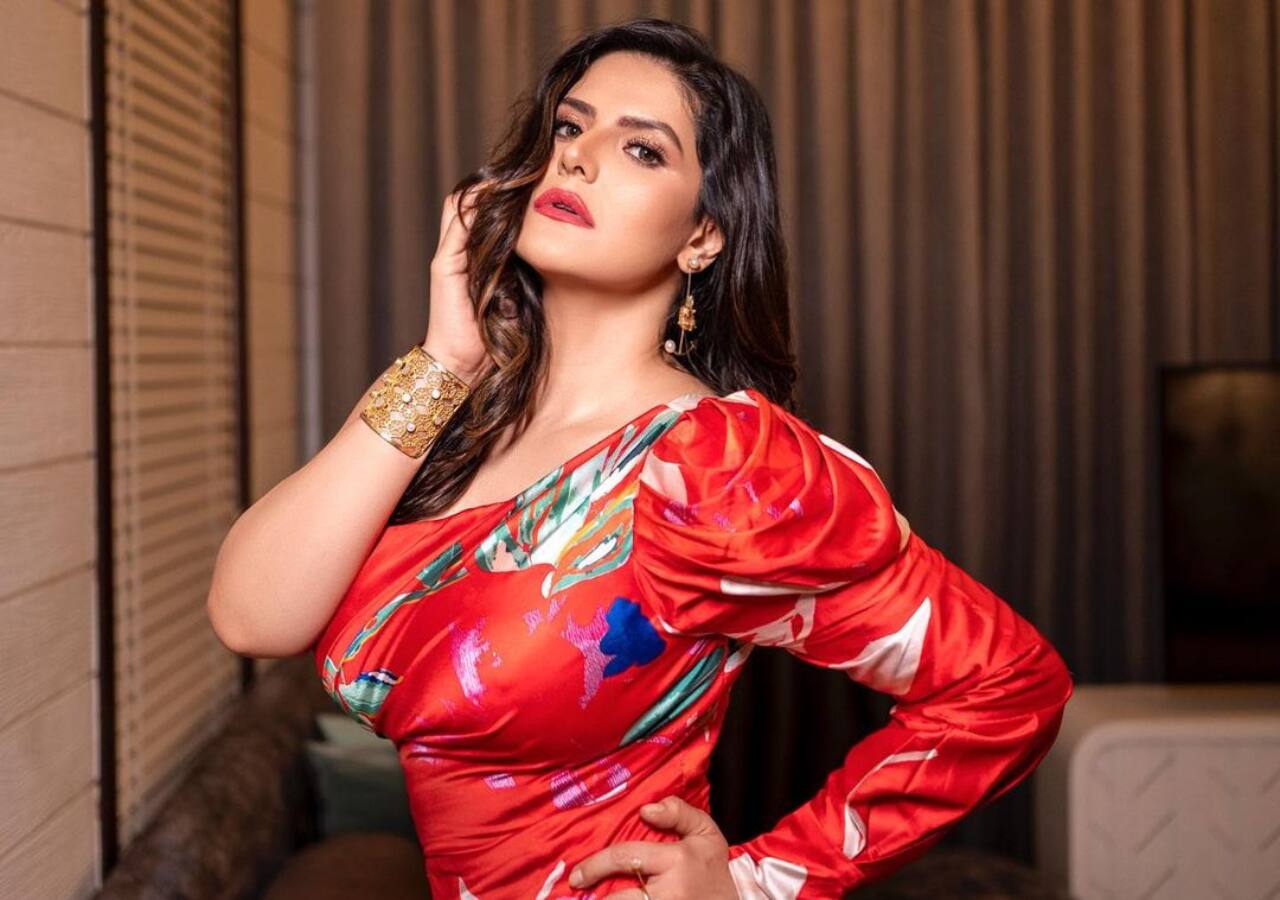 Salman Khan's heroine Zareen Khan brutally fat-shamed as she is clicked ...