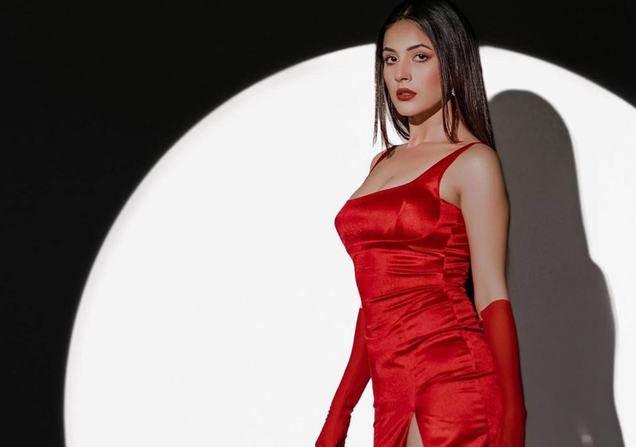 Shehnaaz Gill dons the hottest red dress with a risque slit; proves she ...