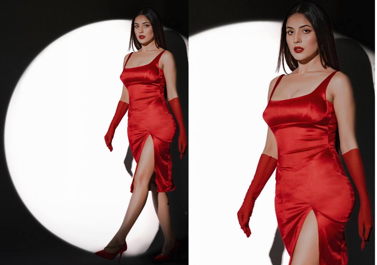 Shehnaaz Gill dons the hottest red dress with a risque slit; proves she ...