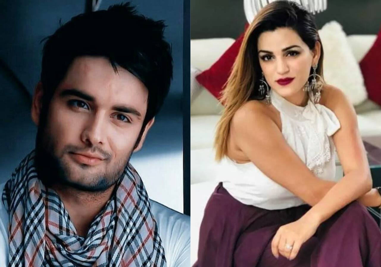 Bigg Boss OTT 2: Udaariyaan actor Vivian D'Sena, late Sushant Singh Rajput's sister and more ...
