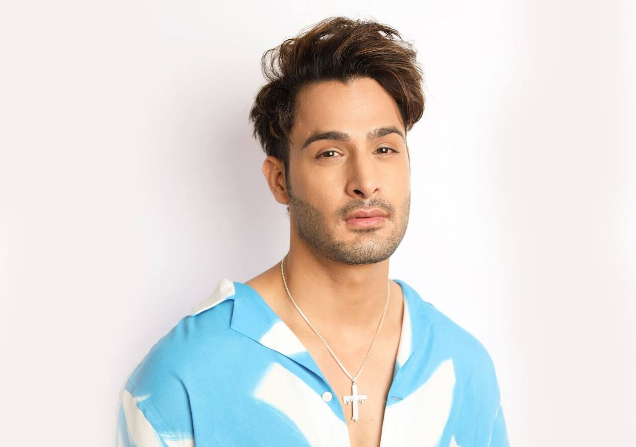 Before Puneet Superstar these Bigg Boss Contestants Were kicked out ...