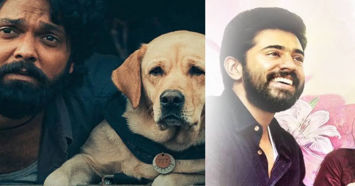 Premam, 777 Charlie and more top slice of life south movies on Disney+ ...