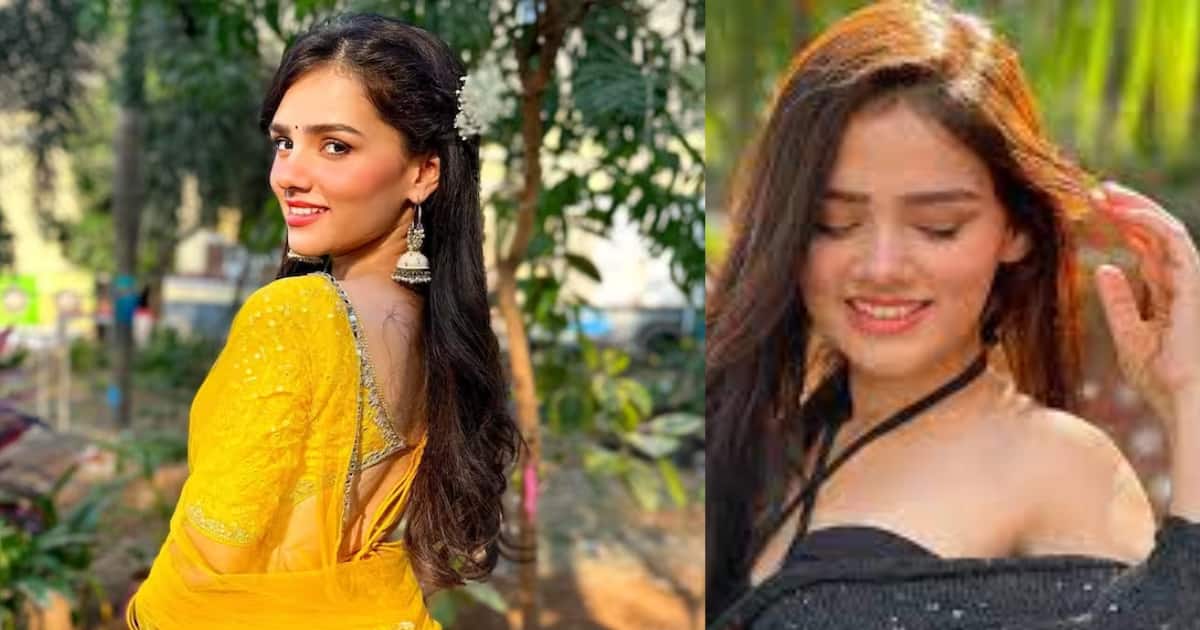Anupamaa: From Maaya to Dimple; Top 10 characters that fans hate