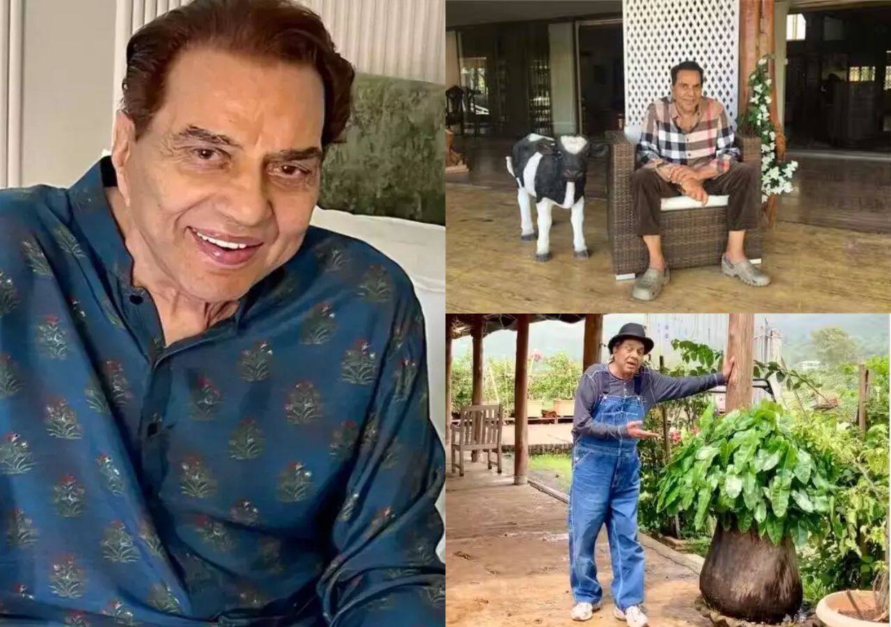 Dharmendra 100 acre luxury farmhouse photos : धर्मेंद्र के लग्जरी फार्महाउस की तस्वीरों पर टिक ...