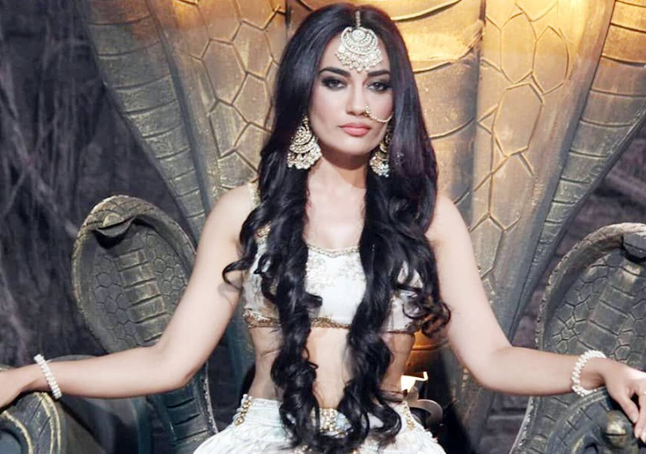 Before Naagin 7, check out who has been the highest paid serpent queen ... Before Naagin 7, check out who has been the highest paid serpent queen ...