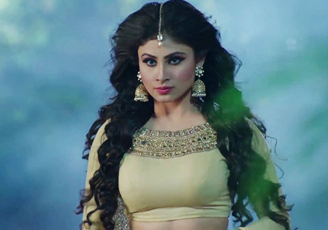 Before Naagin 7, check out who has been the highest paid serpent queen ... Before Naagin 7, check out who has been the highest paid serpent queen ...