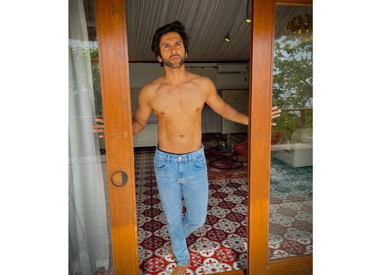 Sumbul Touqeer Khan, Vishal Aditya Singh and more: Top TV stars who ...