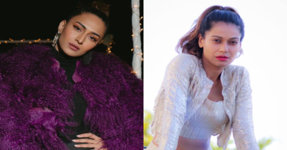 Erica Fernandes to Payal Rohatgi: TV stars who openly spoke about their ...