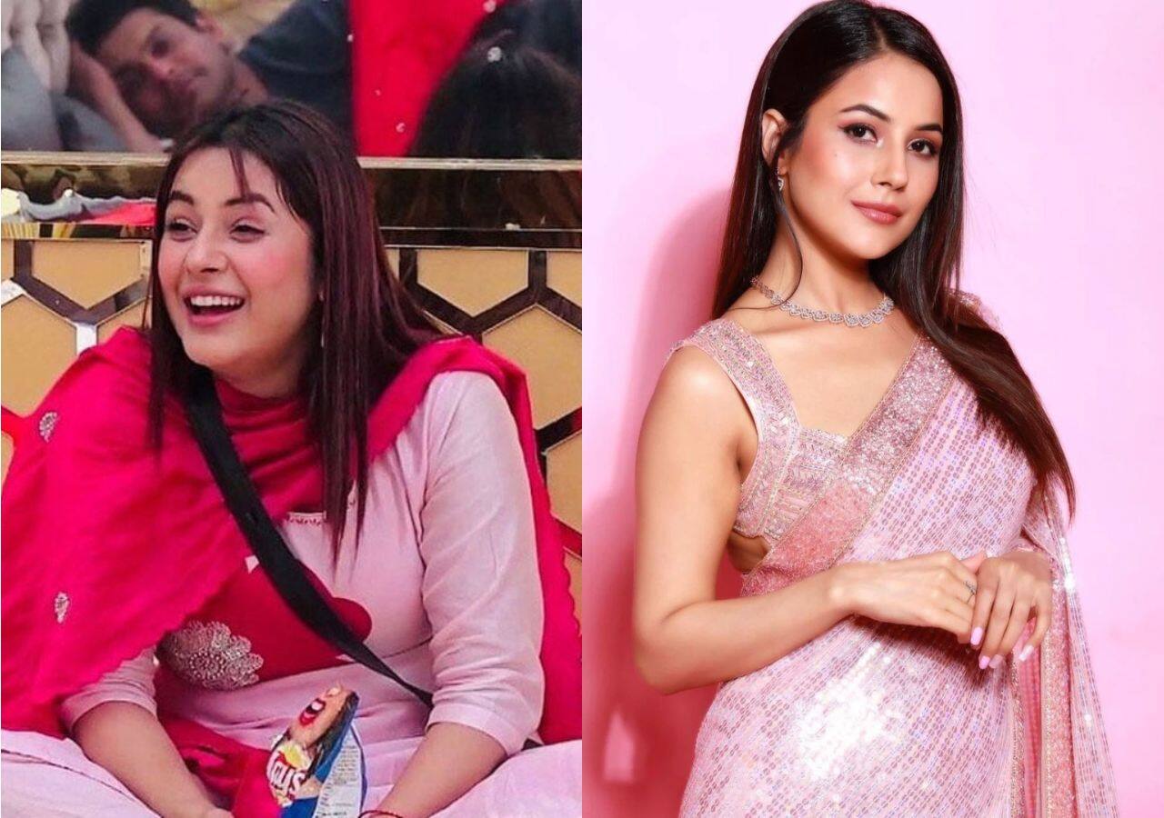 Shehnaaz Gill to Aashika Bhatia: 10 actresses who reduced their weight ...