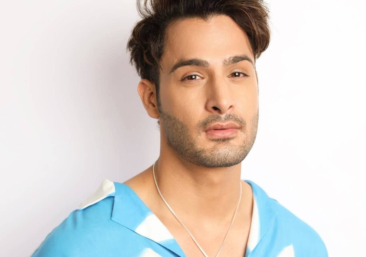 Lock Upp 2: Karan Mehra, Priyanka Jagga to join Puneet Superstar? Here's a list of probable ...