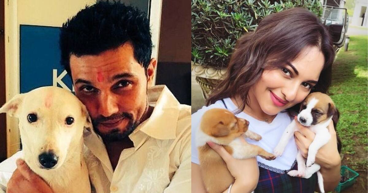 अपने डॉग्स पर जान निसार करते हैं बॉलीवुड के ये स्टार्स