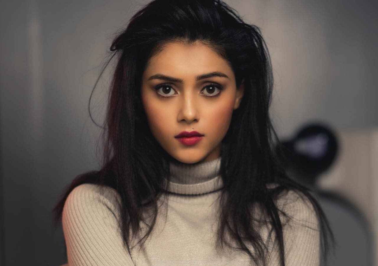 Bigg Boss 17 contestants list - बिग बॉस 17 की कंटेस्टेंट्स की लिस्ट