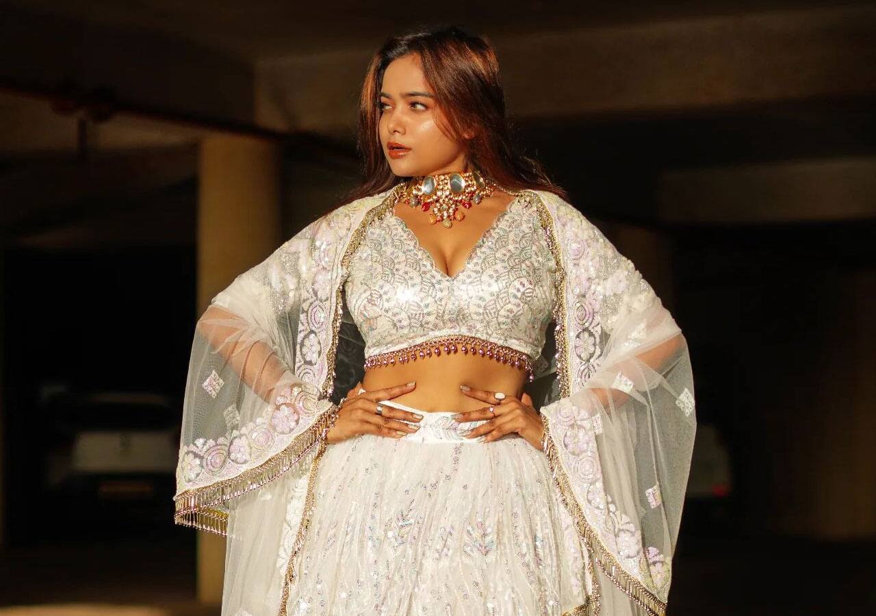 Bigg Boss 17 contestants list: Abhishek Malhan, Aishwarya Sharma, Neil ...