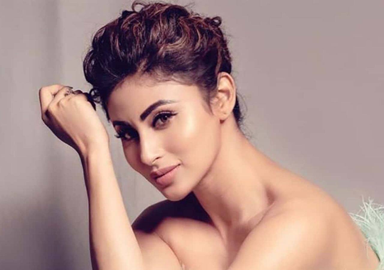 Mouni Roy then and now: Naagin actress' transformation will leave you ...