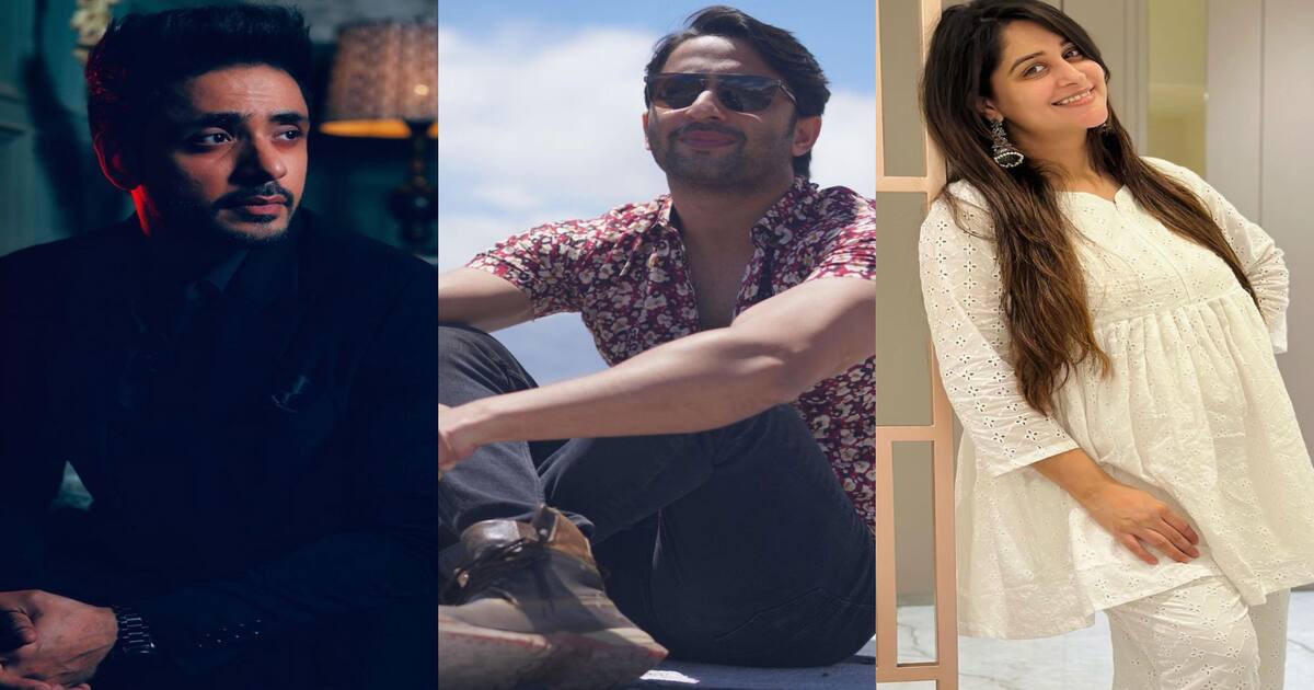 Shaheer Sheikh, Dipika Kakar and more: Top 10 TV stars whose first jobs were not in showbiz