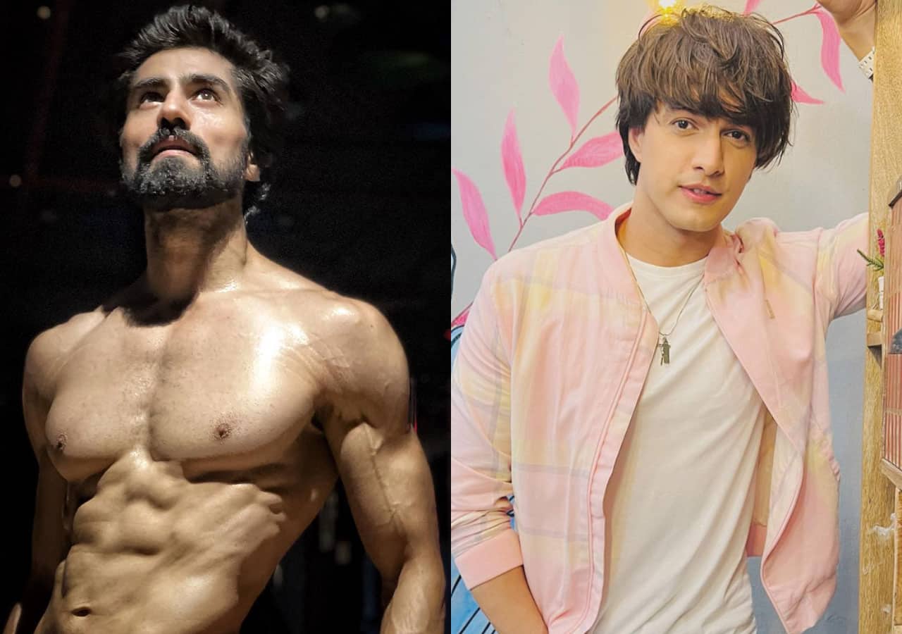 Harshad Chopda, Mohsin Khan and more Yeh Rishta Kya Kehlata Hai men who ...