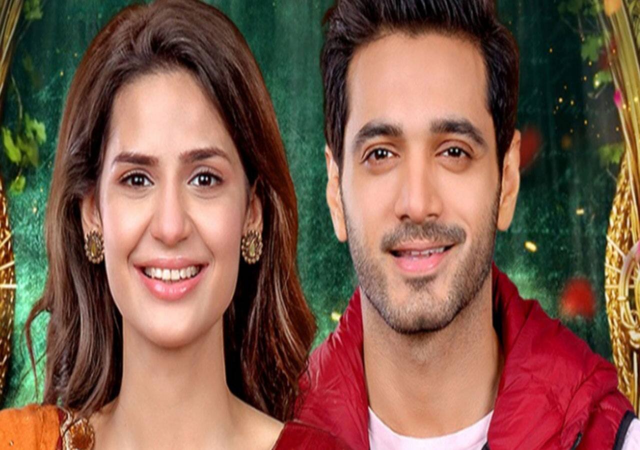 Tere Bin, Mujhe Pyaar Hua Tha and more Top 10 best Pakistani shows to watch