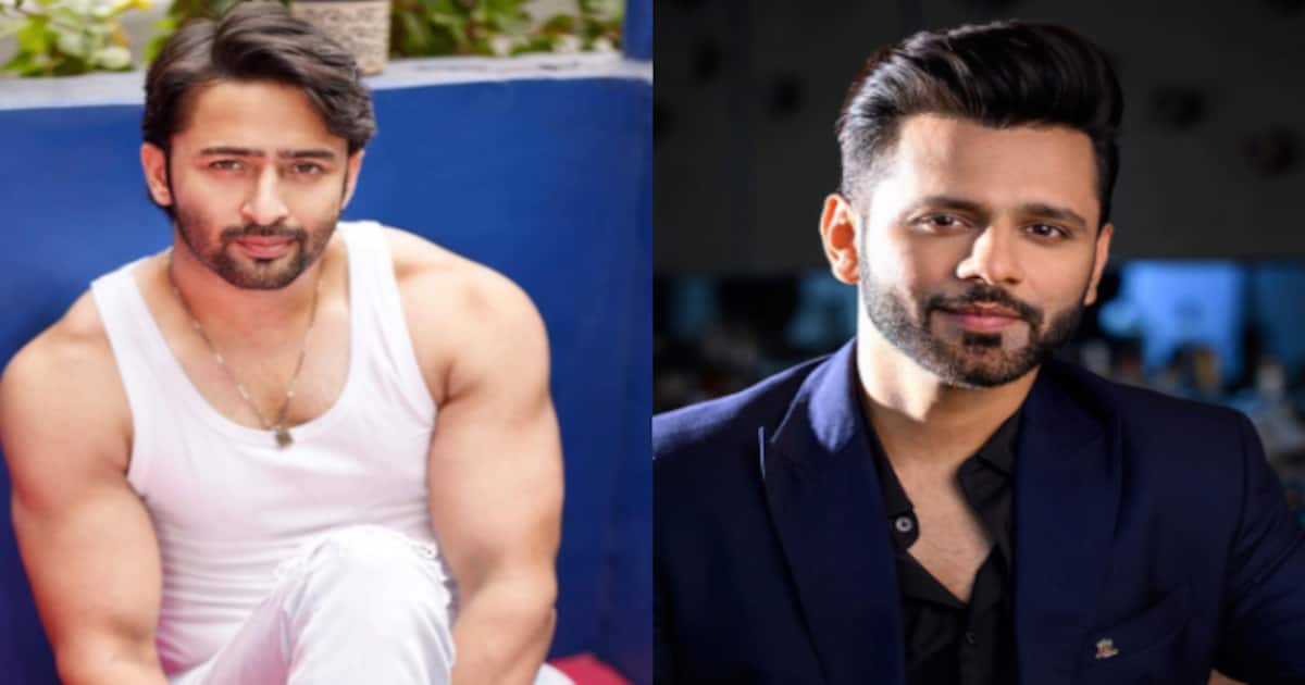 Rahul Vaidya, Shaheer Sheikh, Gurmeet Choudhary and more: TV's Top 10 daddies