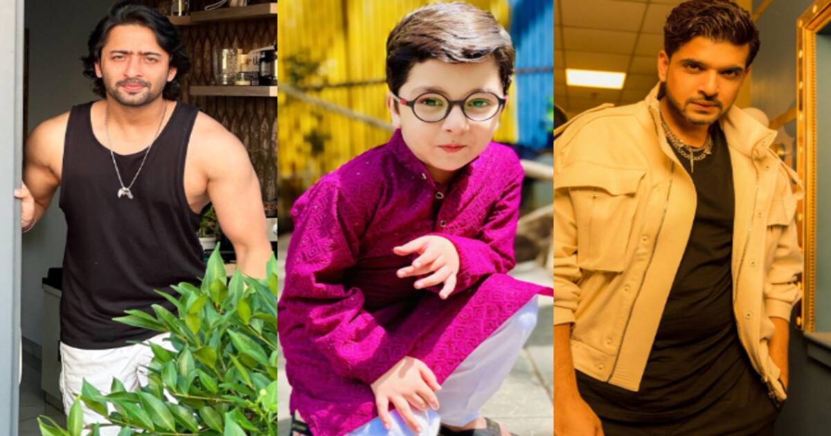 Yeh Rishta Kya Kehlata Hai: Shaheer Sheikh, Karan Kundrra and more TV ...