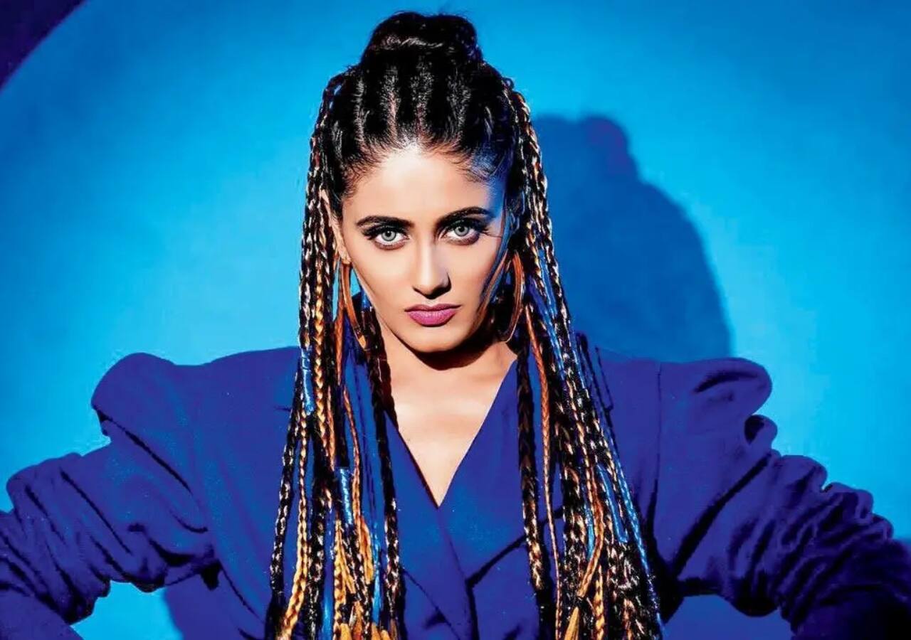 Salman Khan show Bigg Boss 17 confirmed contestants- सलमान खान के शो ...