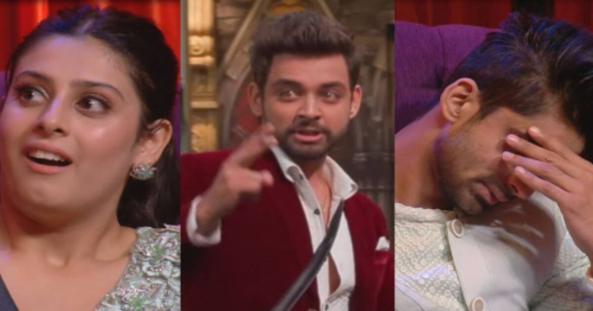 Bigg Boss 17 fame Isha Malviya, Shehnaaz Gill and more contestants who ...