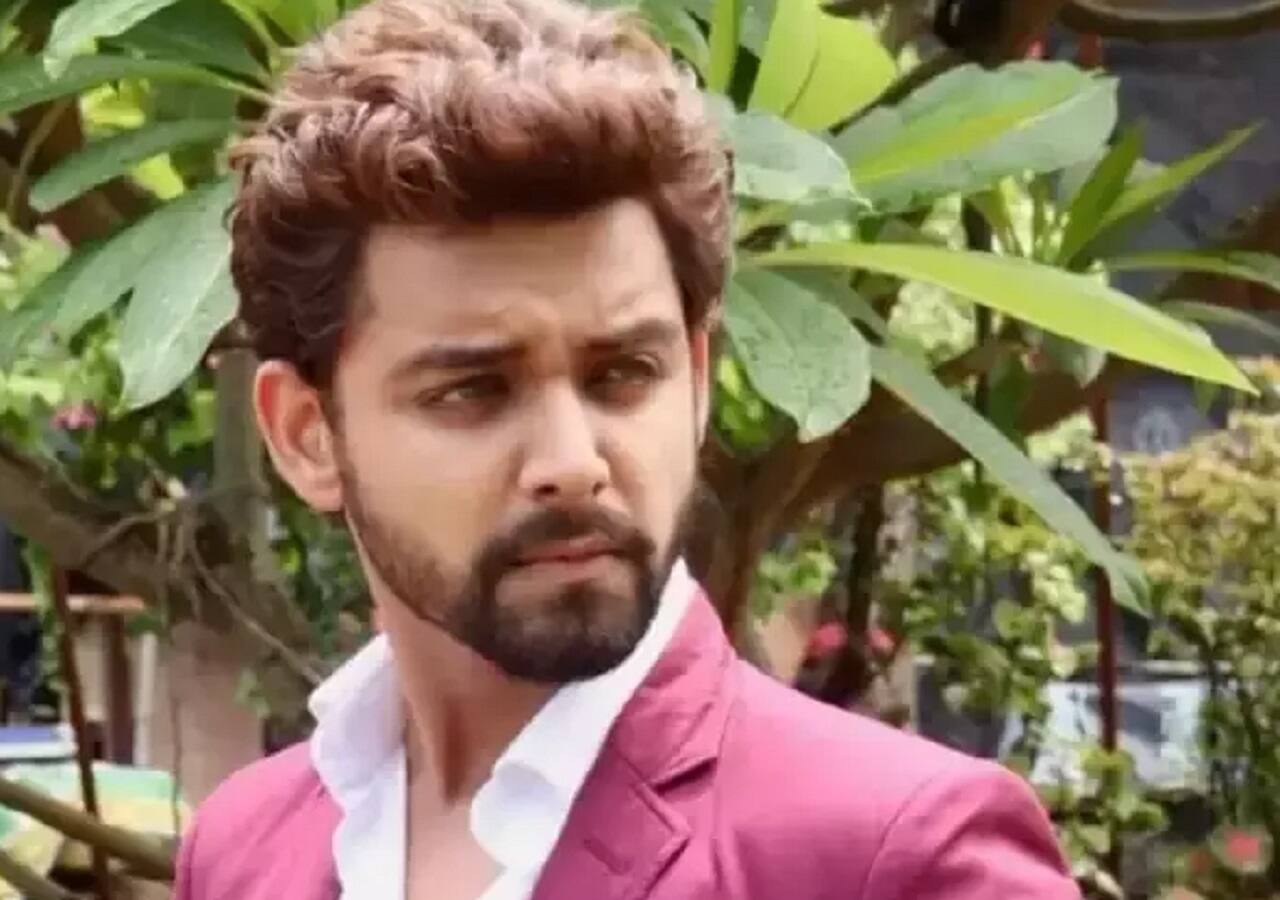 Bigg Boss 17: Everything you need to know about wildcard contestant ...