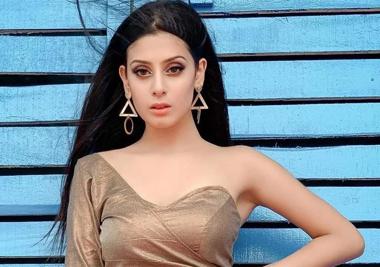 Bigg Boss 17 Contestants Ranked The Fakest Wisest Most Chalak Celebs