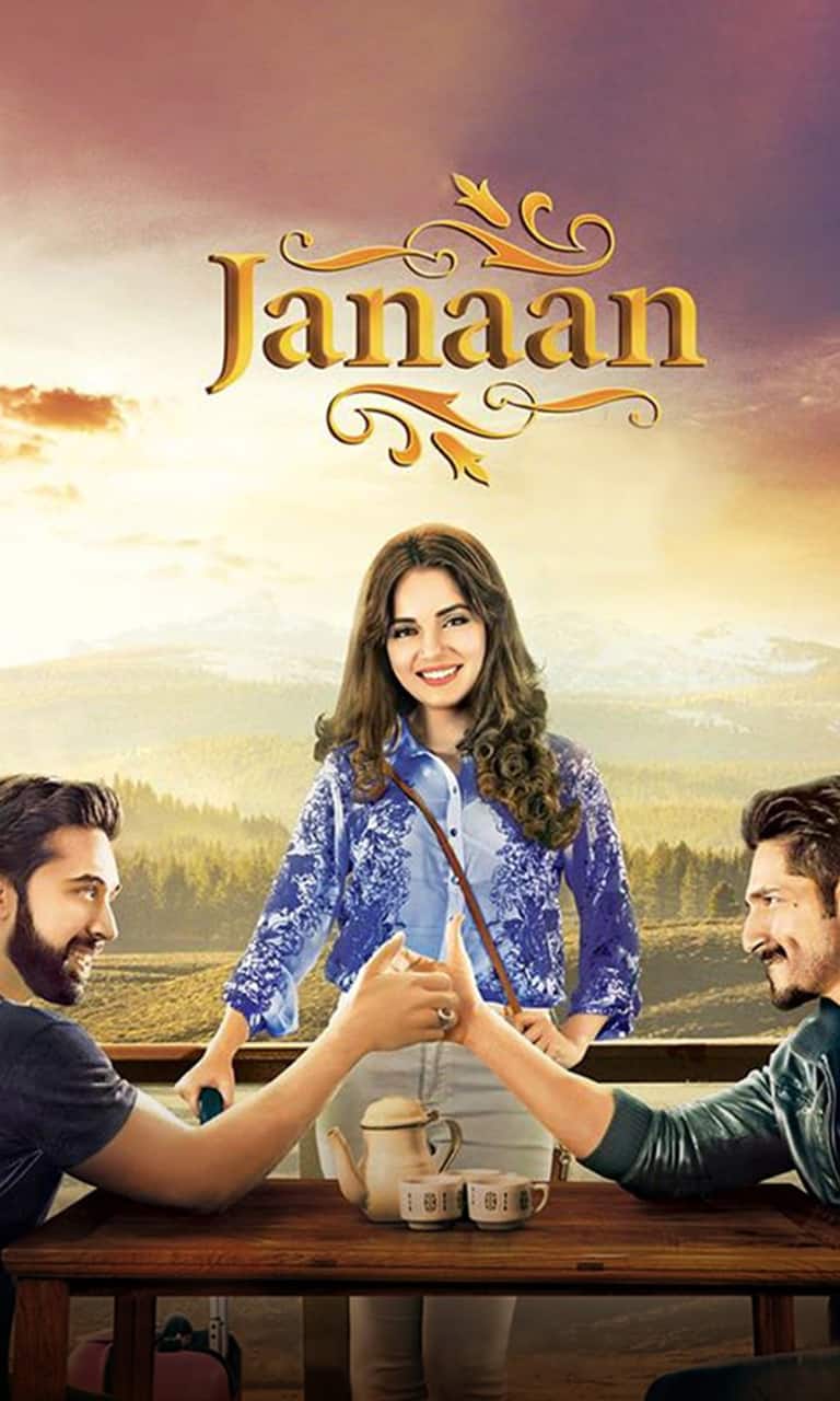 Pakistani Movies On Netflix 60 Photos - Moonagedaydream.film