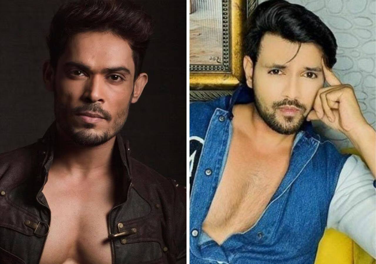 Anupamaa: Kunwar, Nived enter the show to boost TRPs