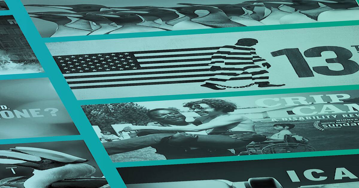 Top 10 most inspiring documentaries to watch on Netflix, Amazon Prime ...