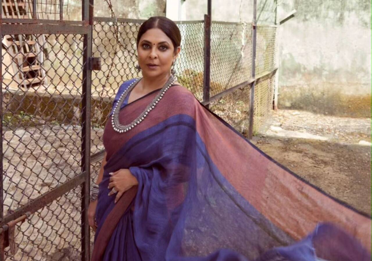 Shweta Tiwari, Dipika Kakar, Shefali Shah and more actresses who have married more than once