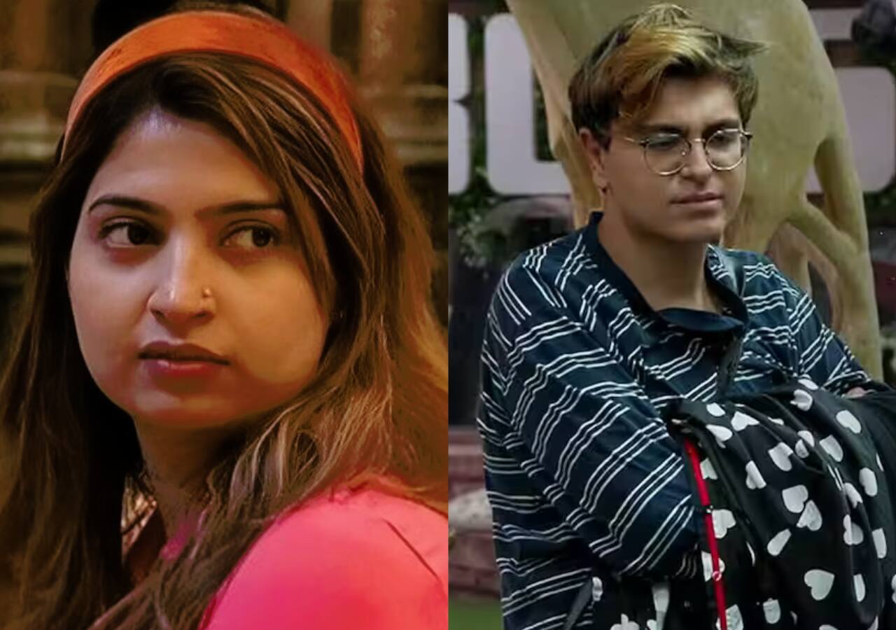 Bigg Boss 17: Netizens are loving Navid Sole's energy as he gives it back to Sana Raees Khan for ...