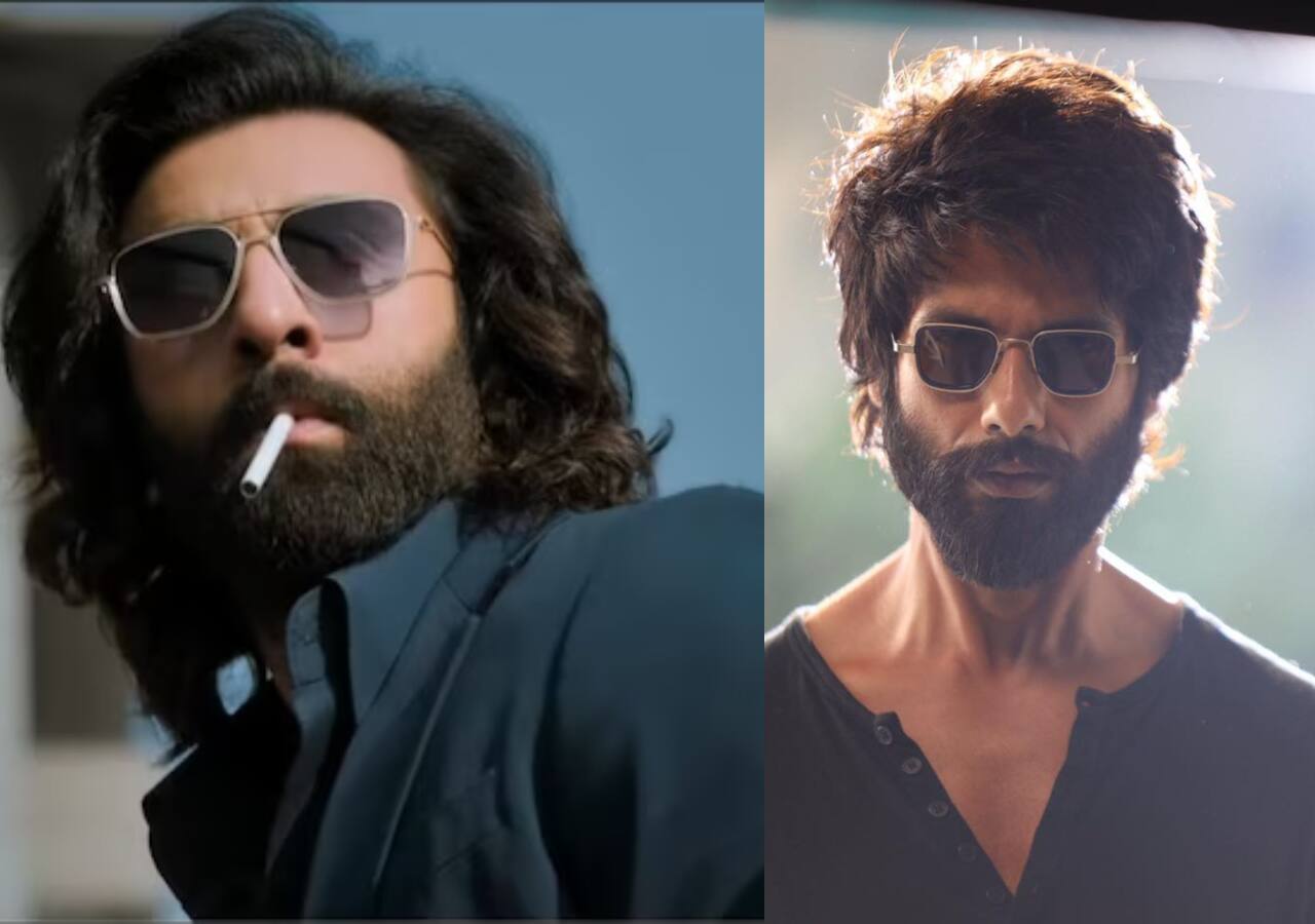 Animal: Ranbir Kapoor compares his character to Shahid Kapoor's Kabir Singh